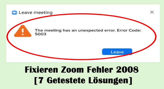 Fixieren Zoom Fehler 2008 [7 Getestete Lösungen]